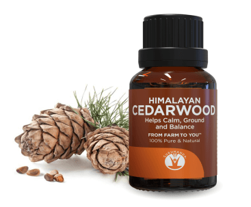 Cedarwood Himalayan Oil – 15ml | Valley Blossoms